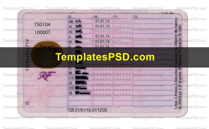 France Driving License Template PSD 2026