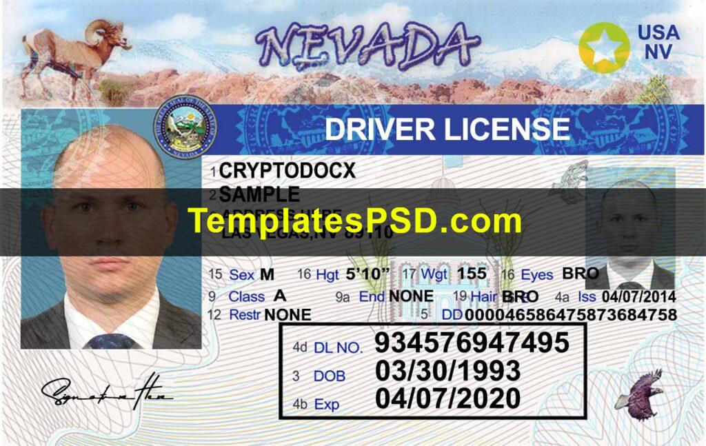 Nevada Drivers License PSD Template (V1) 2025