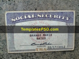 Social Security Card Generator [Online SSN Maker] 2026